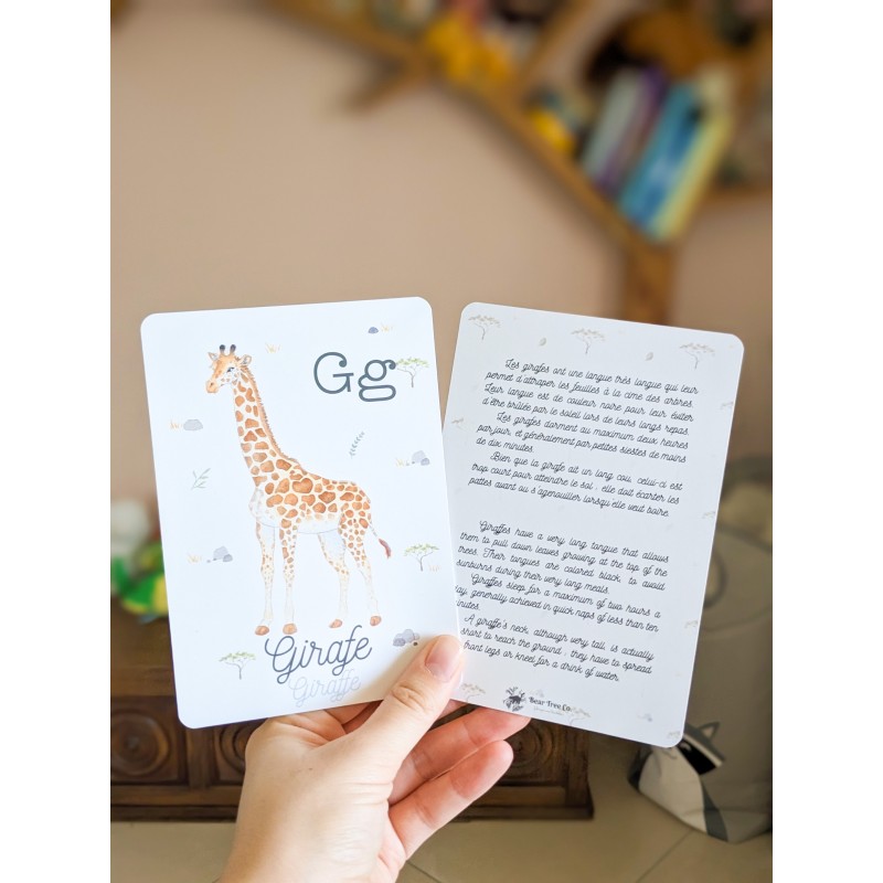 Cartes Abécédaire-Apprendre l'alphabet avec les animaux-Français/Anglais