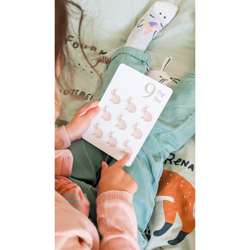 Cartes 123 des animaux-Apprendre les Chiffres et Compter en s'amusant