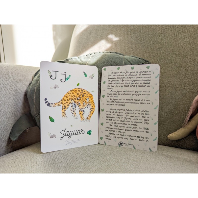 Lot de Cartes Abécédaire et Chiffres Animaux Aquarelle Français-Anglais