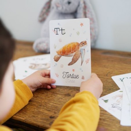 Lot de Cartes Abécédaire et Chiffres Animaux Aquarelle Français-Anglais